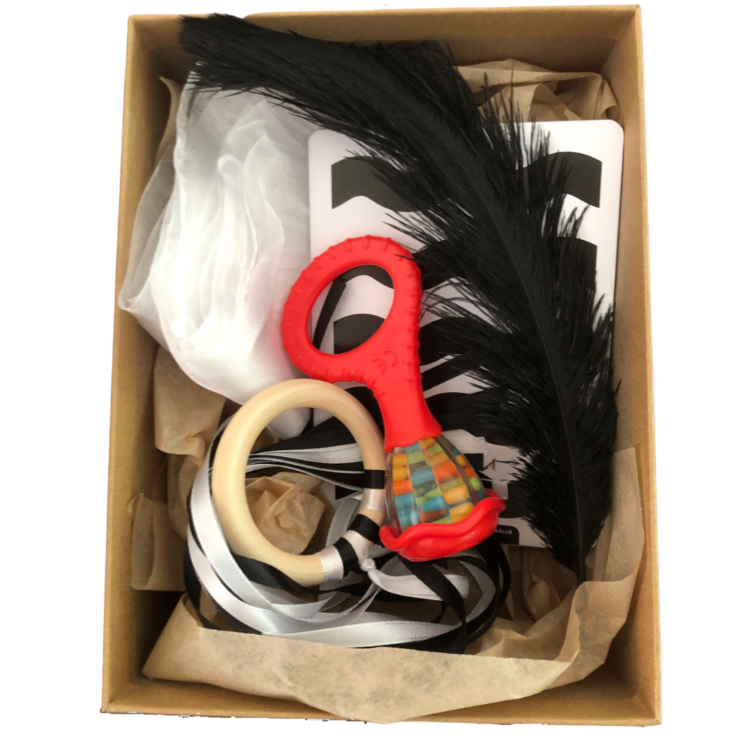 Newborn Sensory Box – imogenruby